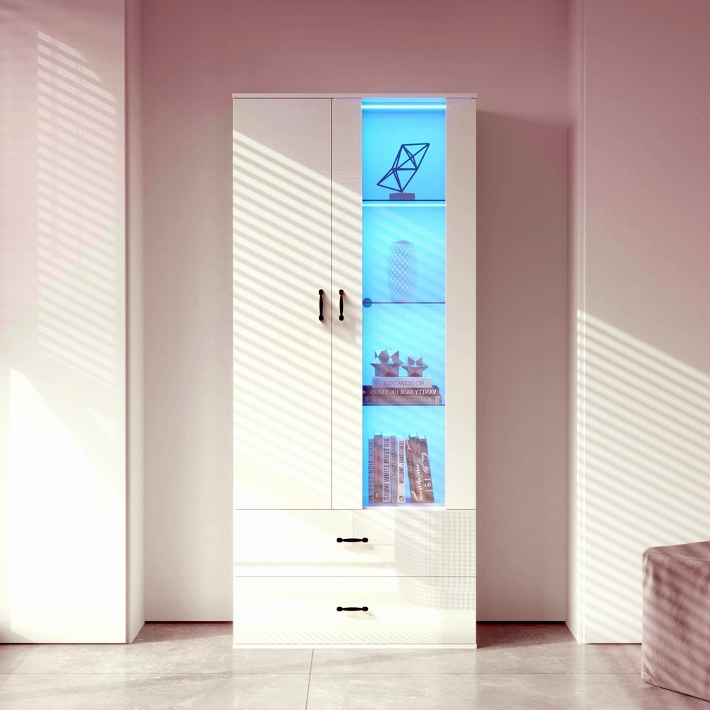 Ivy Bronx 16-Color LED-Lit Display Cabinet, 2 Doors, Standing Display ...