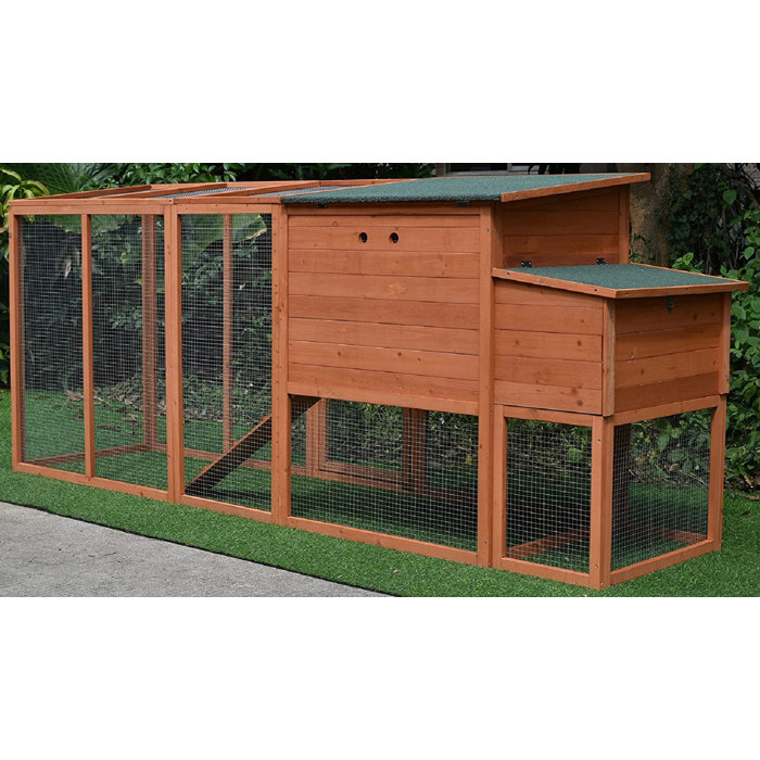 Tucker Murphy Pet™ Cheisa 6ft. Chicken Coop with Chicken Run | Wayfair