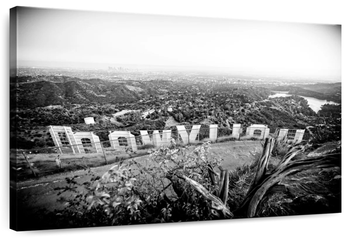 Elephant Stock Hollywood Sign From The Back | Wayfair