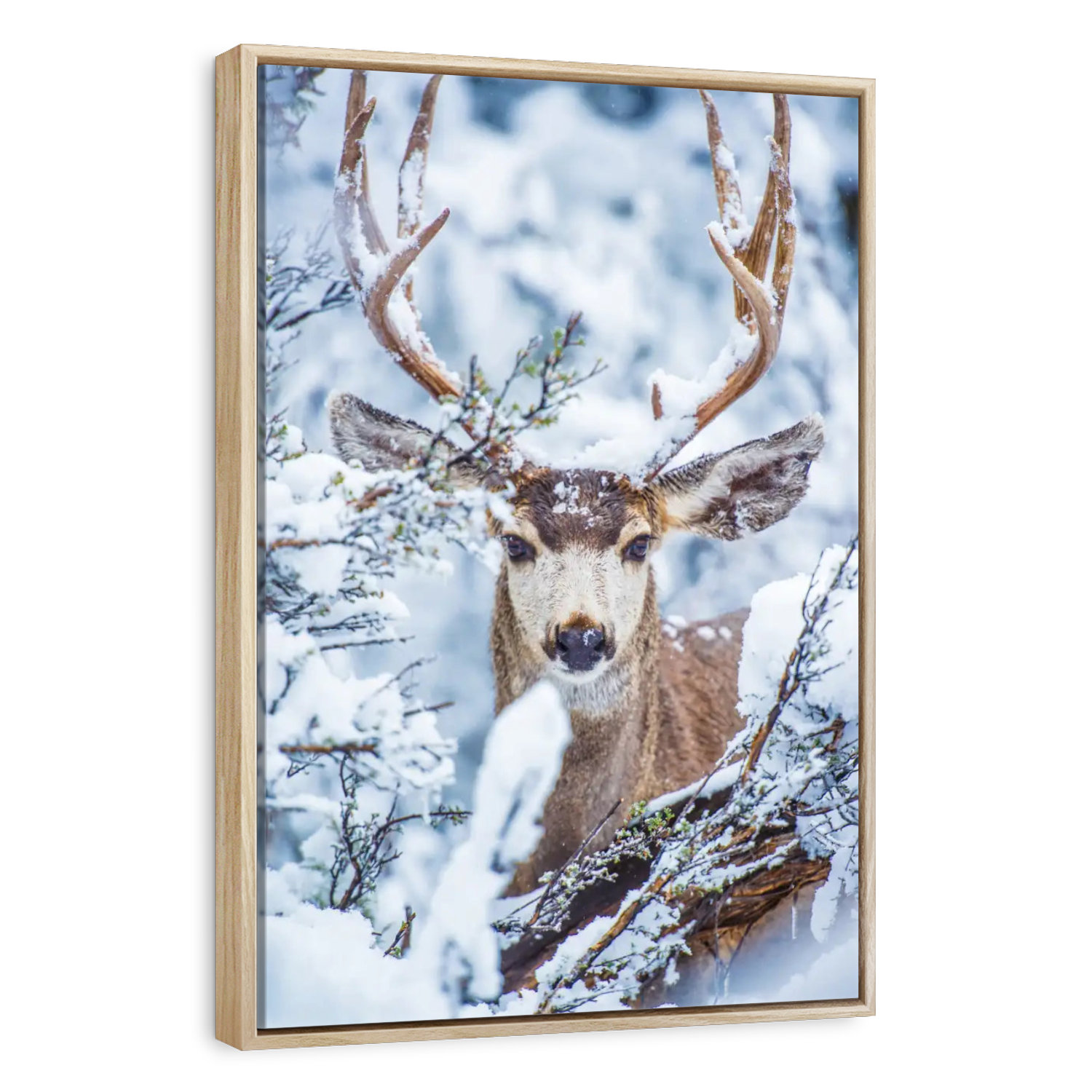 Ebern Designs Winter Mule Deer | Wayfair