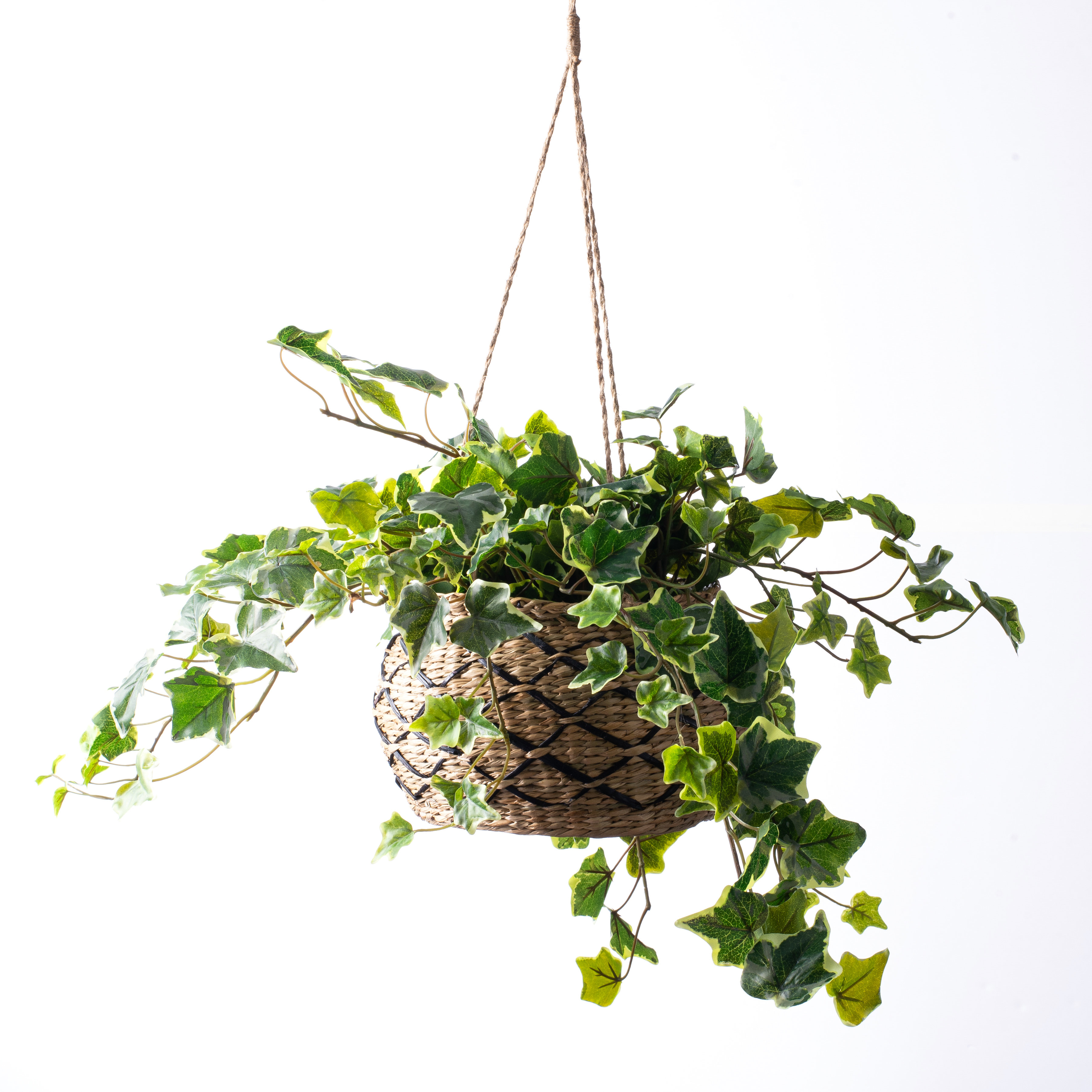 Primrue Polyether Polyurethane (PU) Mixed Hanging Basket Arrangement in ...