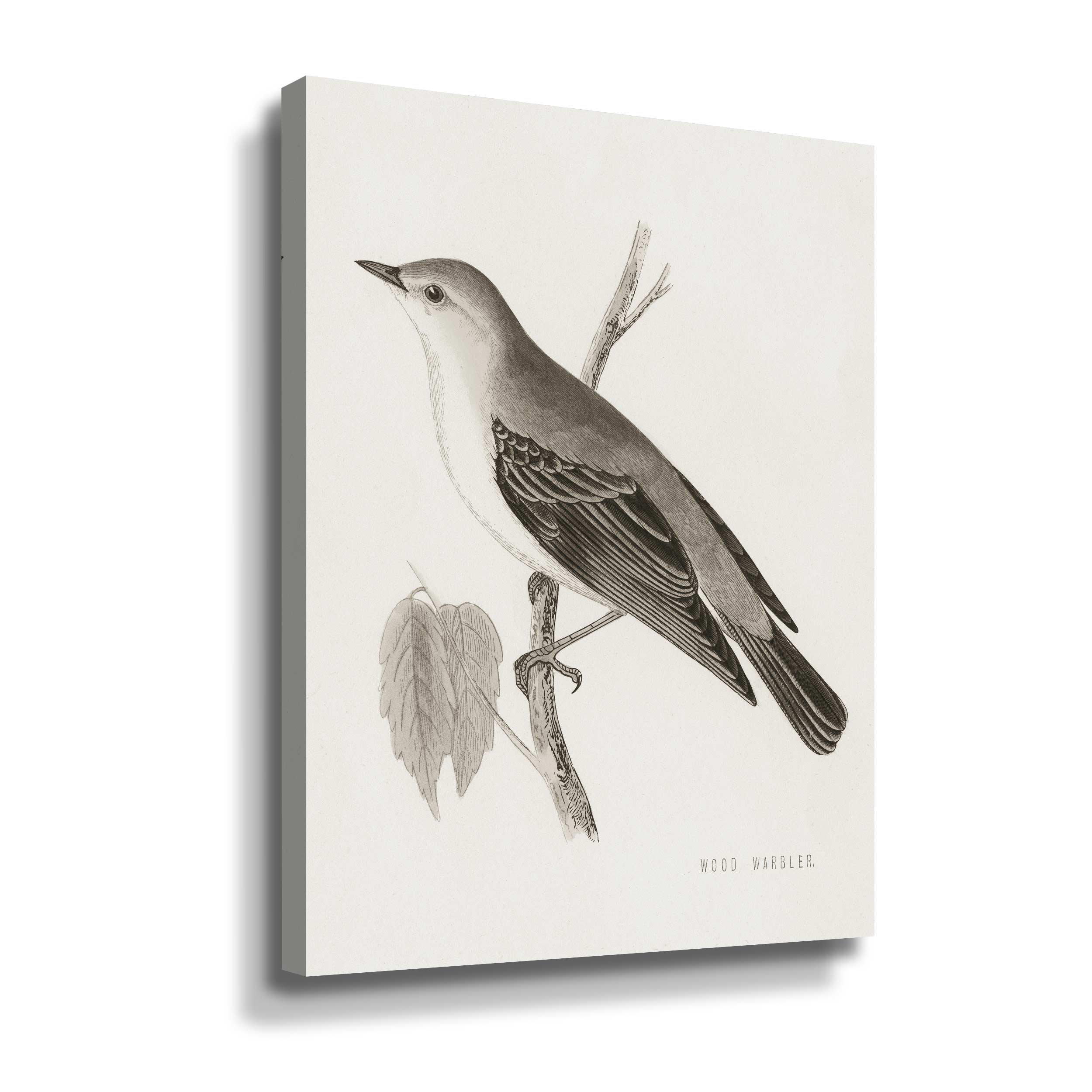 Red Barrel Studio® Engraved Birds III BW Gallery | Wayfair