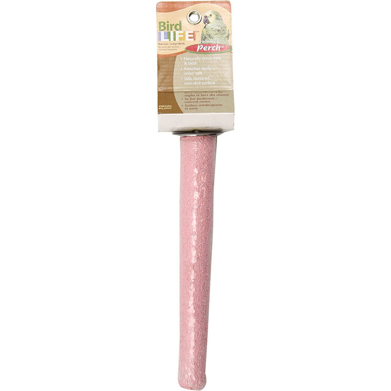 Penn Plax Bird-Life Cement Trimmer Bird Perch – Naturally Trims Nails ...