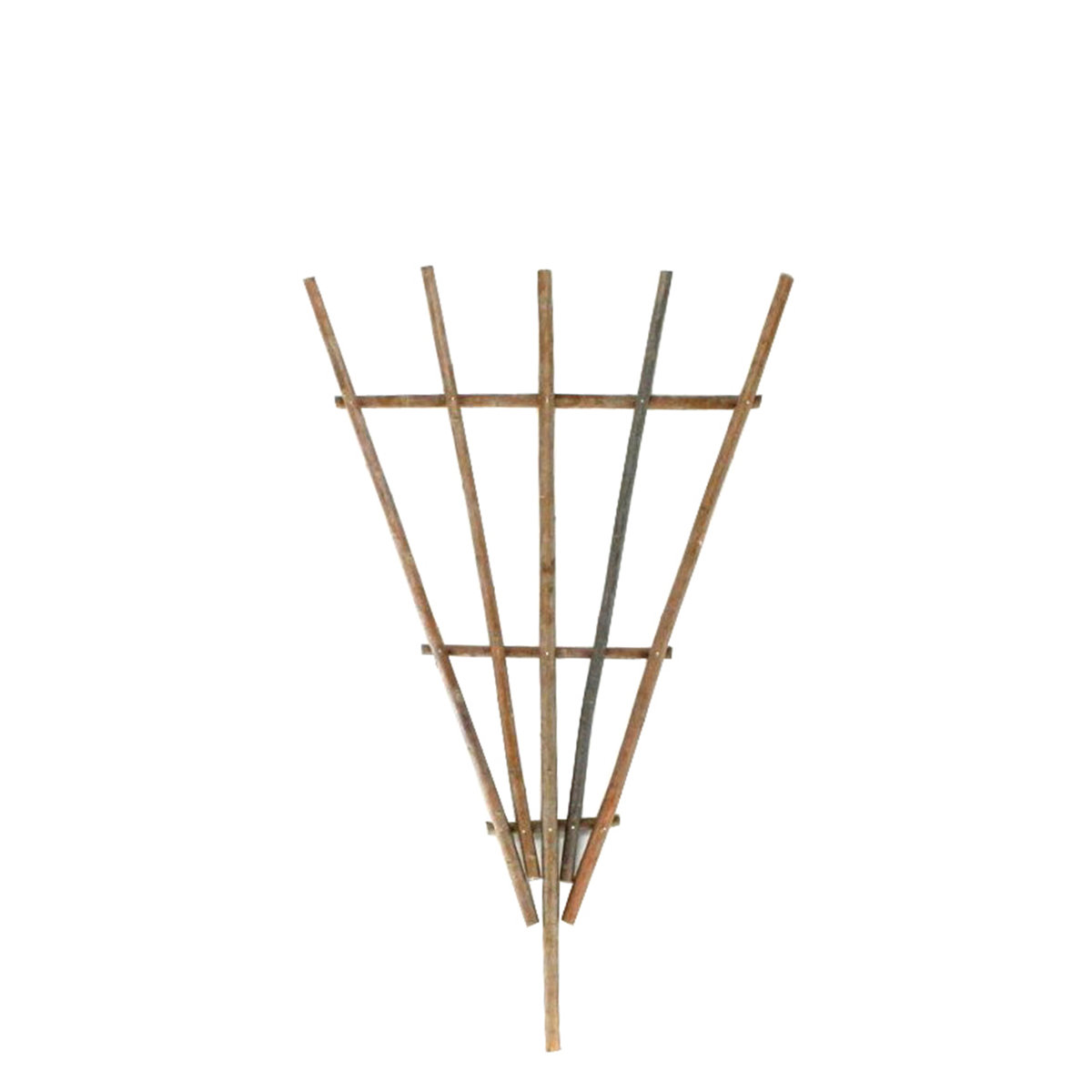 August Grove® Corbett Twig Trellis Stake | Wayfair