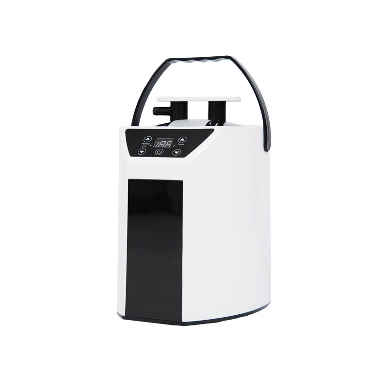 Ikkle Sauna Steamer Portable Pot, 3L Stainless Steel Steam Generator ...