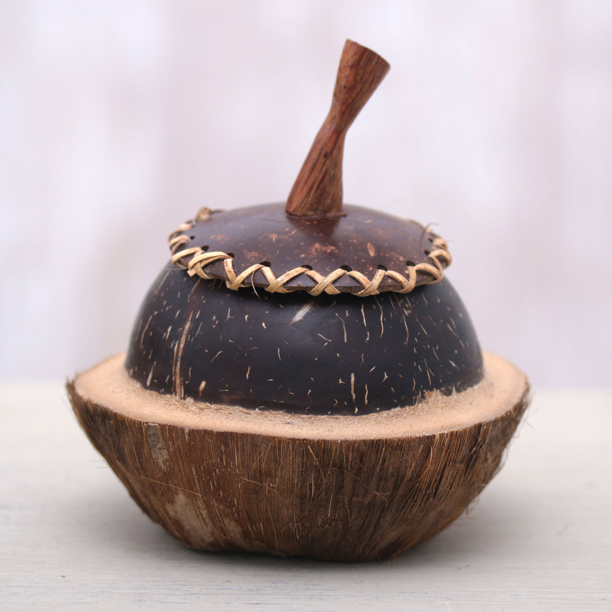 World Menagerie Coralino Coco Keeper Coconut Shell Indonesia Decorative ...