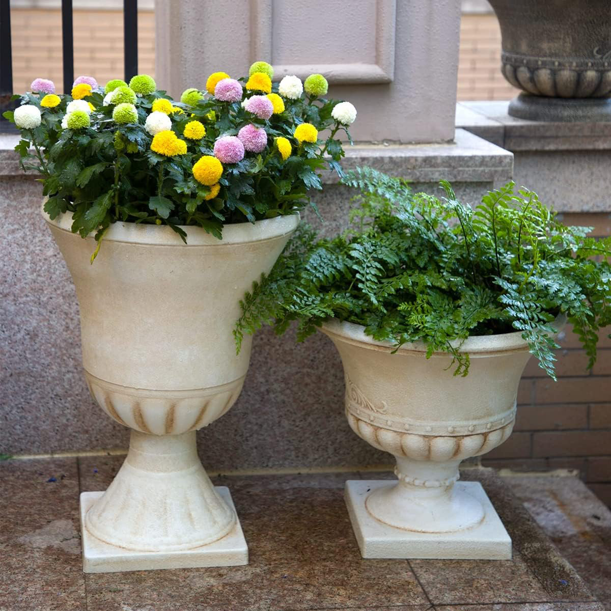 Darby Home Co Plastic Urn Planters For Outdoor Plants,Tree 22 Tall 2 ...