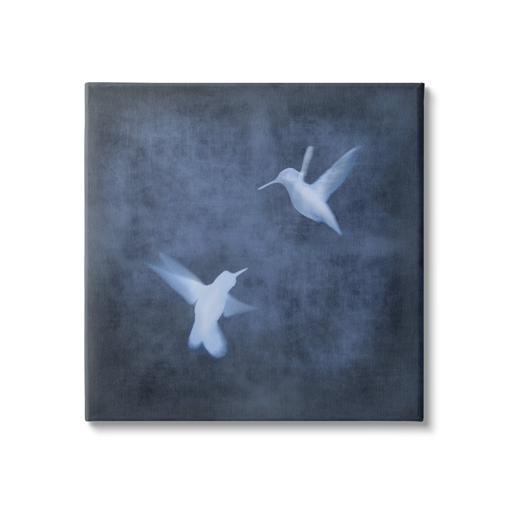 Stupell Industries Abstract Blue Hummingbirds Silhouettes by Chris ...