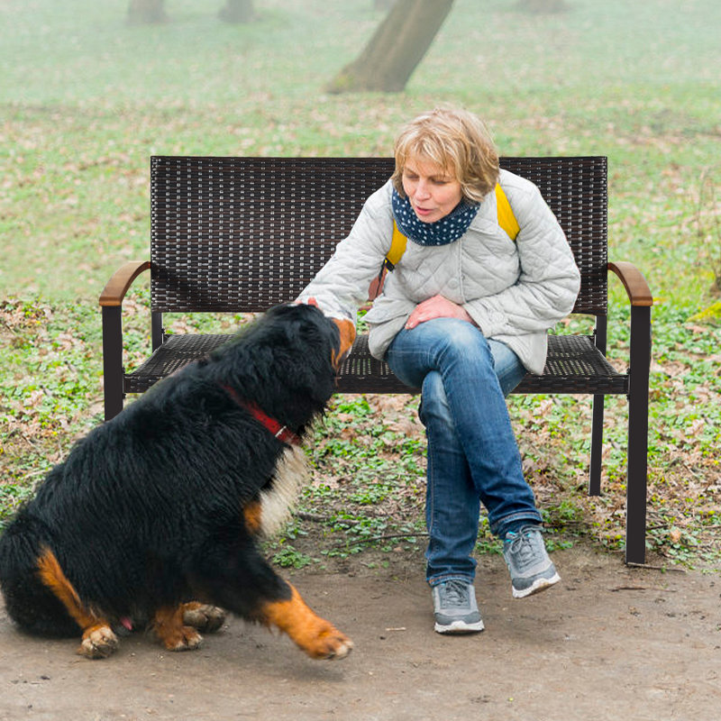 Red Barrel Studio® Alisanne Patio Furniture Weather-resistant Rattan ...
