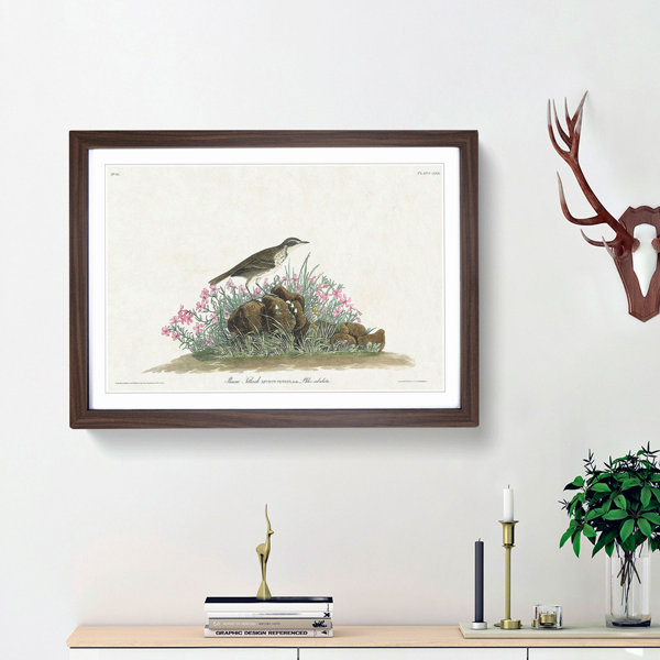 East Urban Home Prairie Titlark Bird by John Audubon - Picture Frame ...