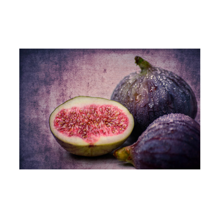 Winston Porter Figs On Canvas by Hannes Cmarits Print | Wayfair