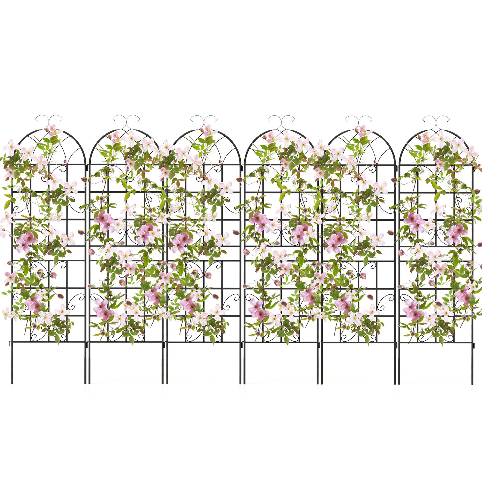 Red Barrel Studio® Metal Garden Trellis for Climbing Plants 6 Pack ...