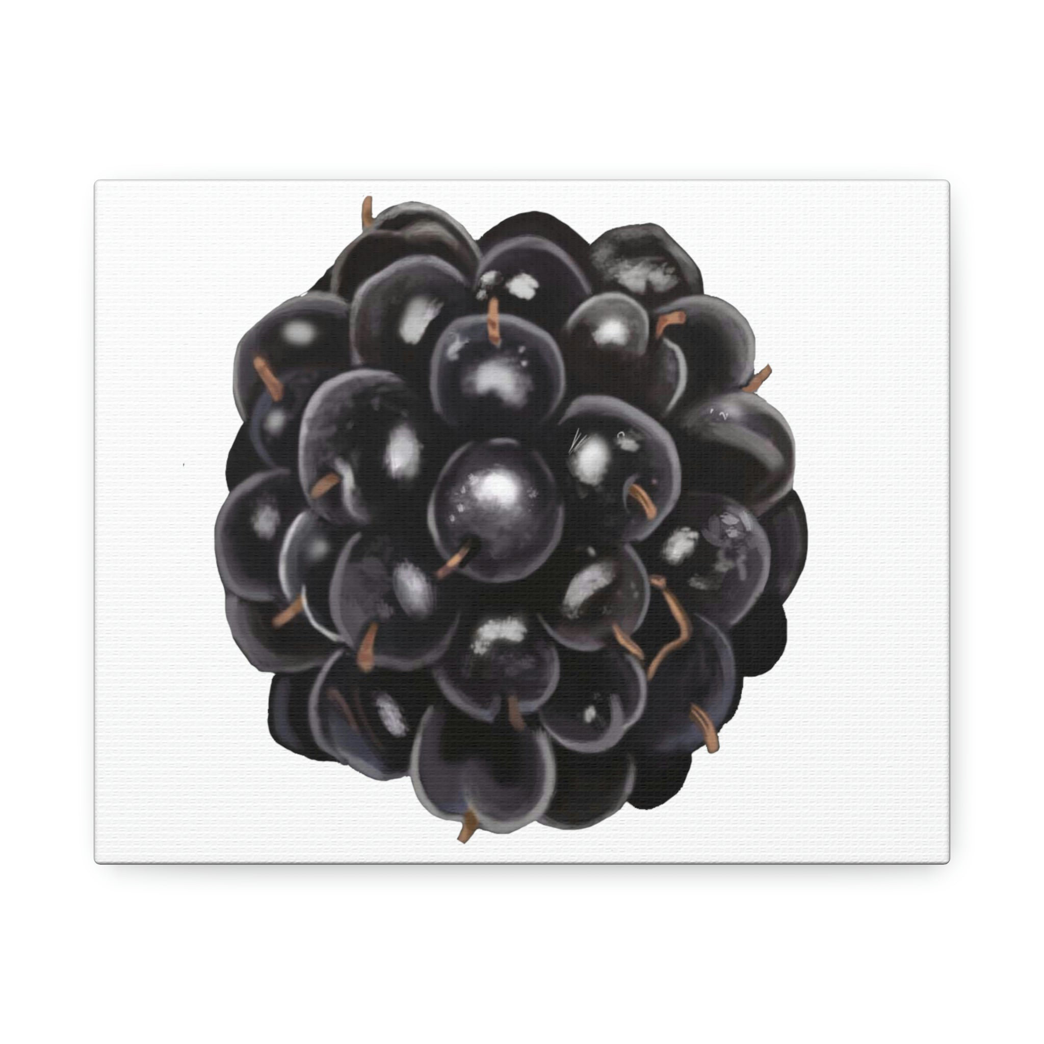 Latitude Run® Blackberry by Kelly Johnson - Wrapped Canvas Graphic Art ...