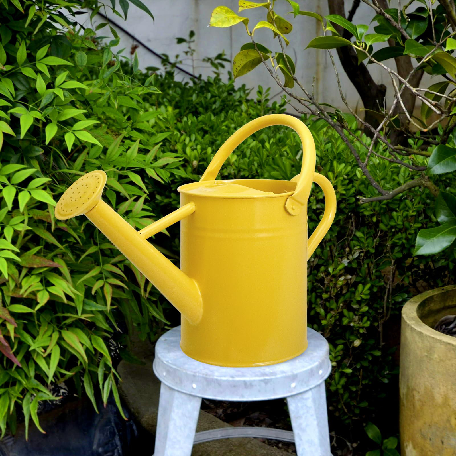 Porisen 1 Gallaon Metal Watering Can with Removable Spout | Wayfair
