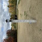 Whitehall Products Pinecone 1-Line Hanging Sign & Reviews | Wayfair