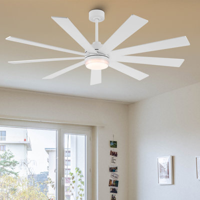 Wade Logan® Babrak 65'' Ceiling Fan with LED Lights & Reviews | Wayfair