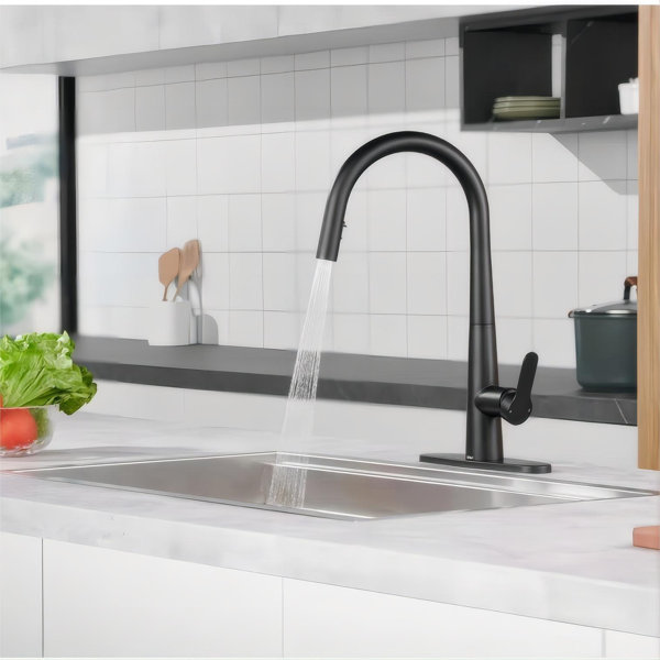 Tohlar Hidden Spray Head High Gooseneck Design Kitchen Faucets | Wayfair
