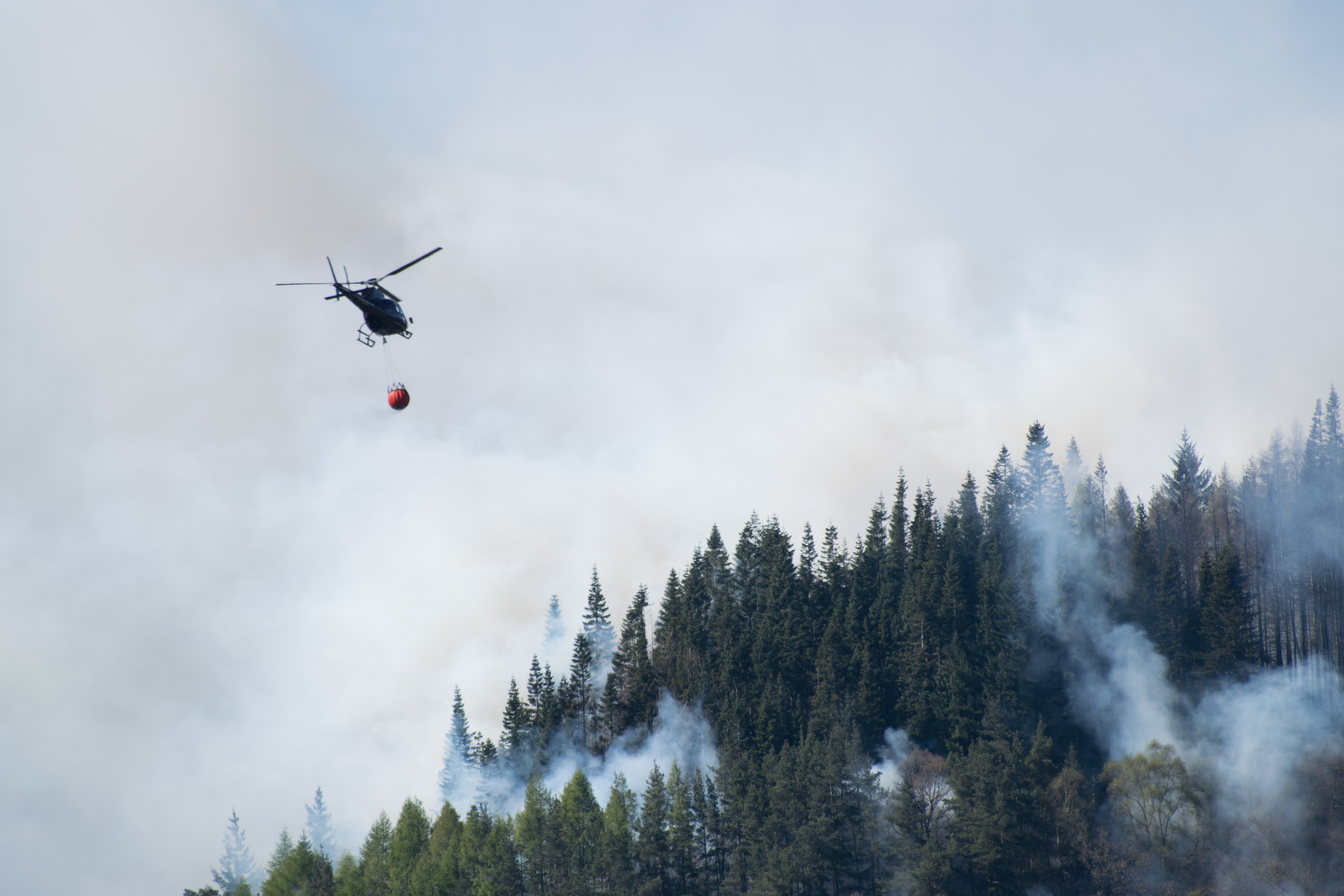 Loon Peak® Kolya Firefighters Extinguish Forest Fire On Canvas ...