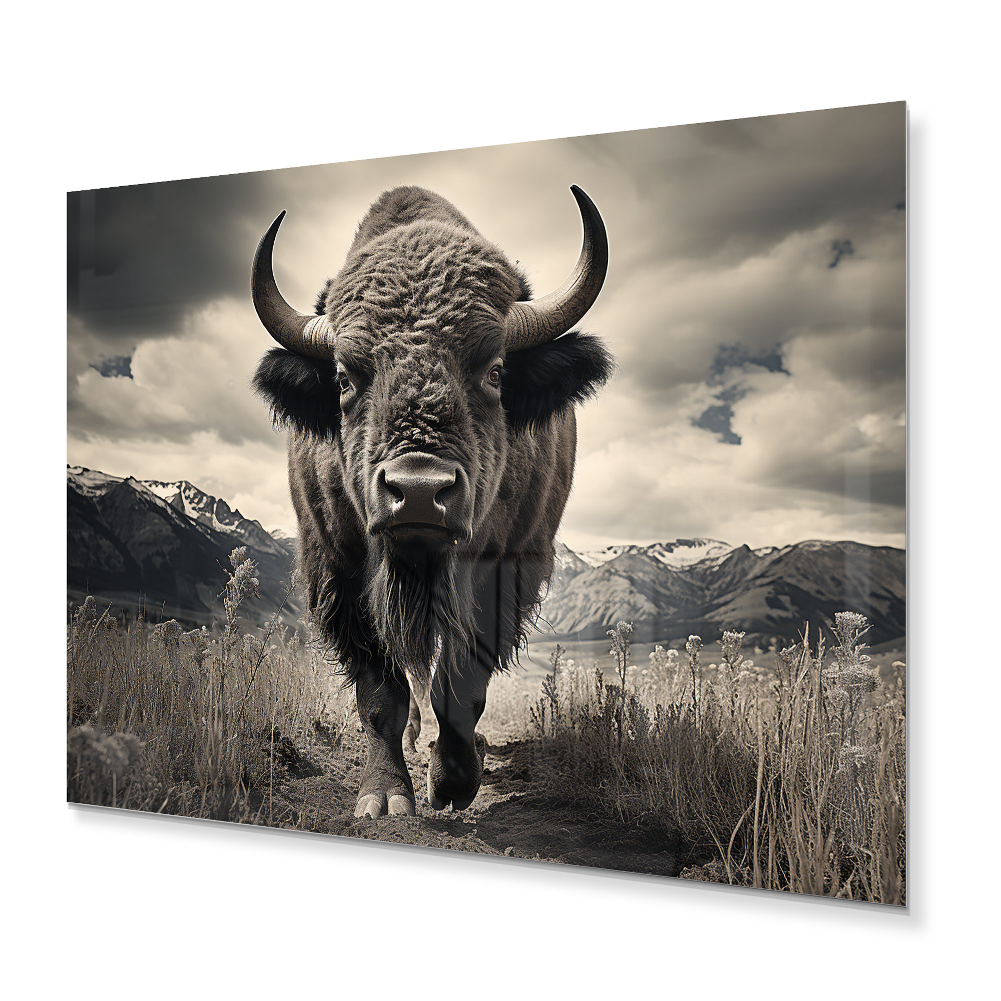 Millwood Pines Bison Majestic Bison on Metal Wall print | Wayfair