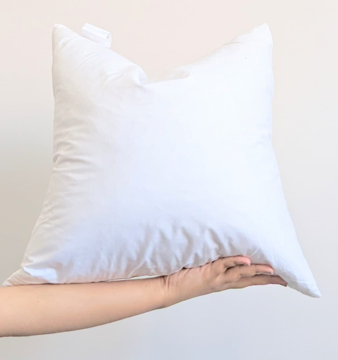 Hokku Designs Down Feather Pillow Insert -95% Feather 5% Down - Wayfair ...