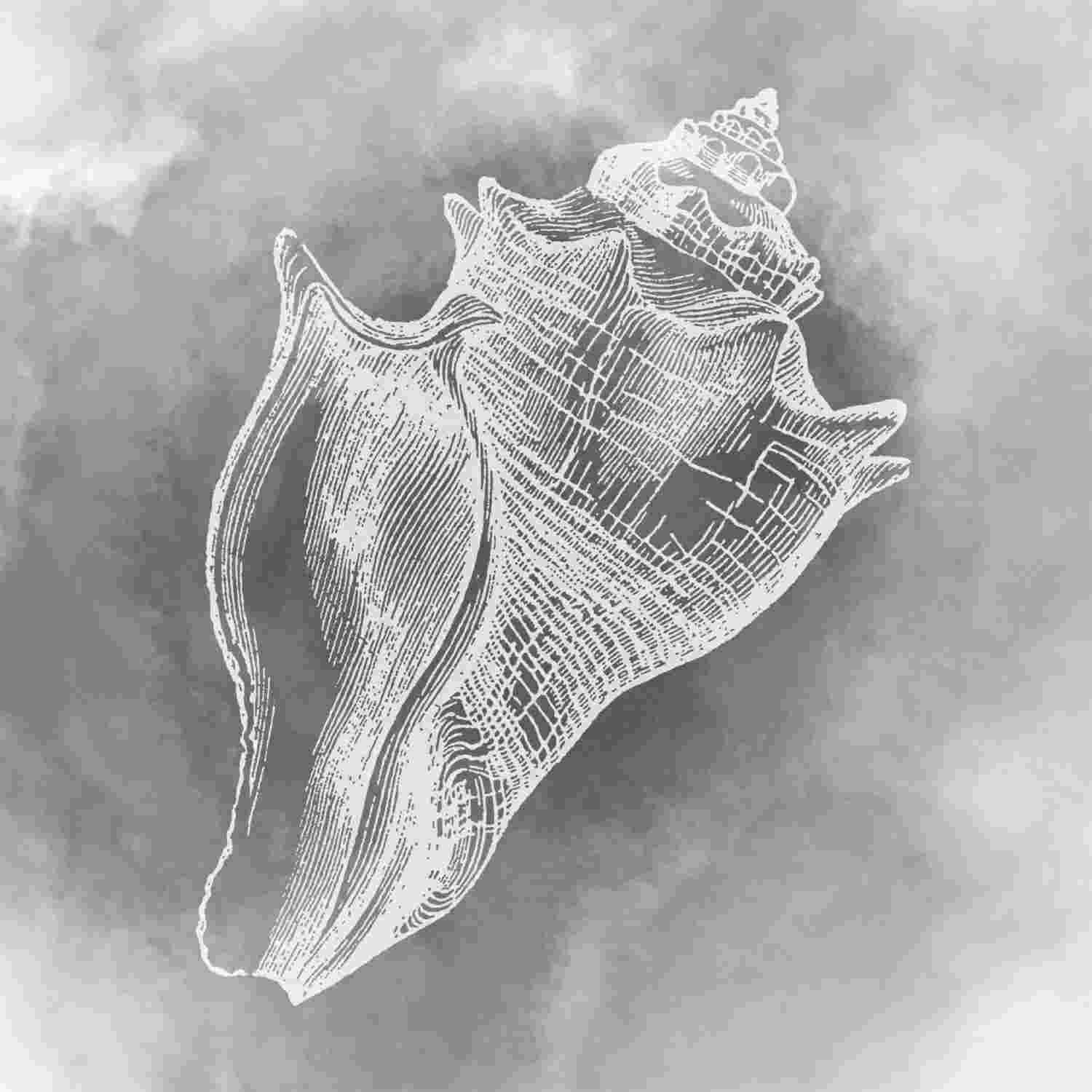 Highland Dunes Gray Conch | Wayfair