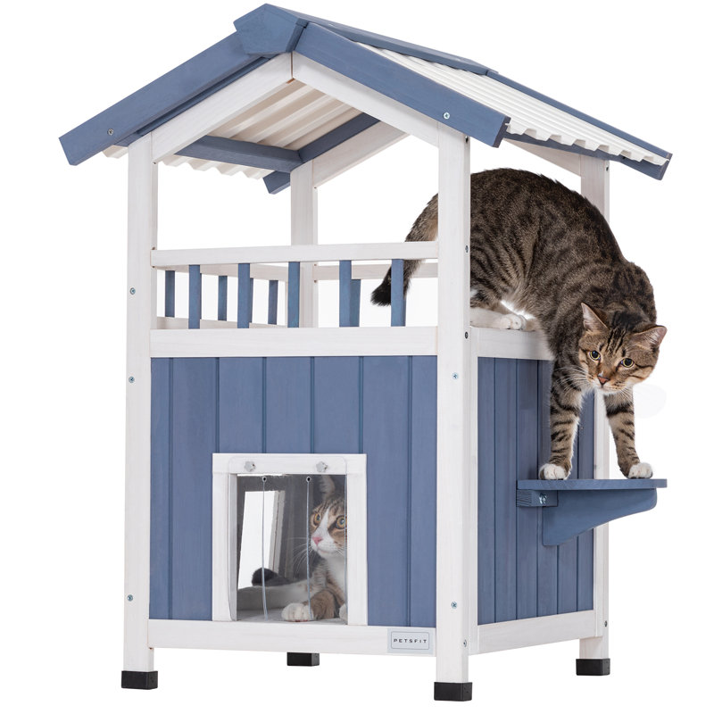 Tucker Murphy Pet™ Emone Cat & Reviews | Wayfair