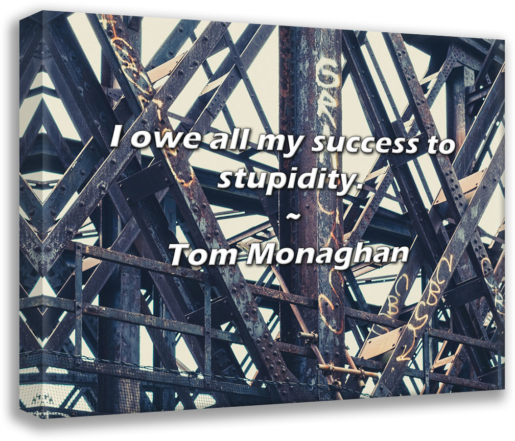 Trinx Tom Monaghan Quote: I owe all my success to stupidity. | Wayfair