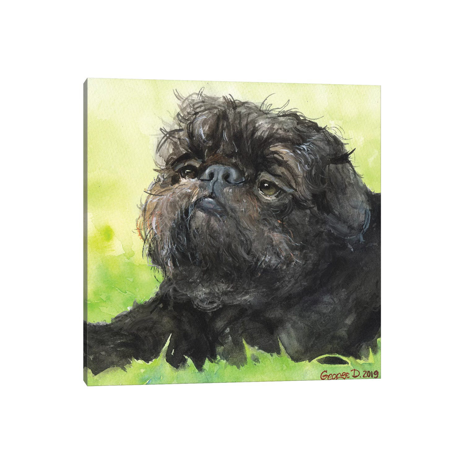 East Urban Home Black Brussel Griffon with Background by George ...