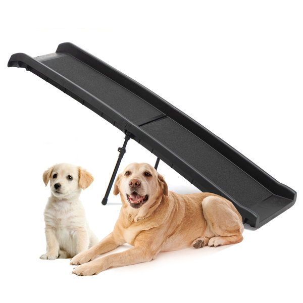 Tucker Murphy Pet™ Adelbert Portable & Foldable Large Dog Ramp ...