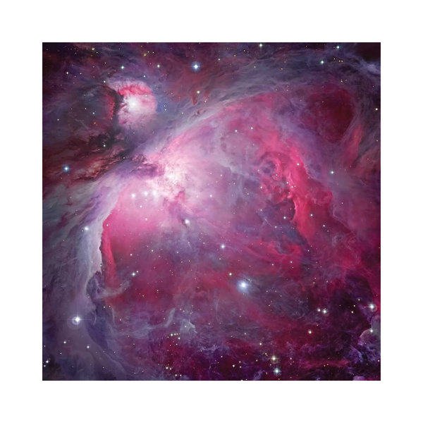 Ebern Designs M42, The Great Nebula In Orion by Robert Gendler ...