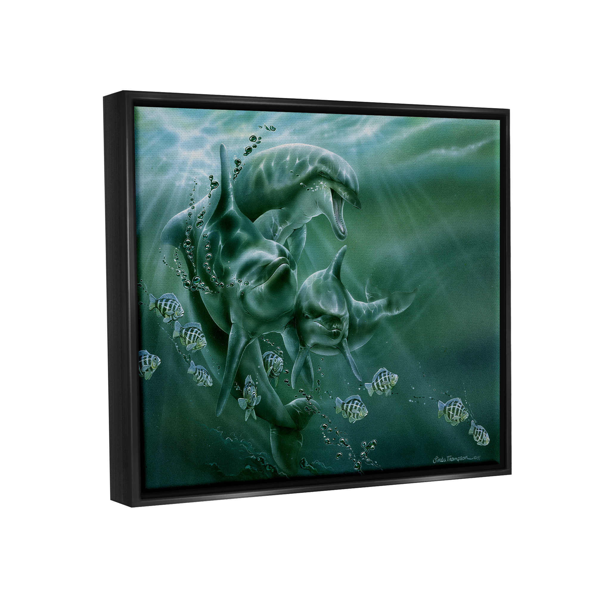Dovecove Underwater Dolphins And Fish Framed Floater Canvas Wall Art By ...