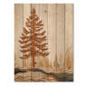 Ophelia & Co. Autumn Forest Cedar Tree II - Traditional Gold Wood Print ...