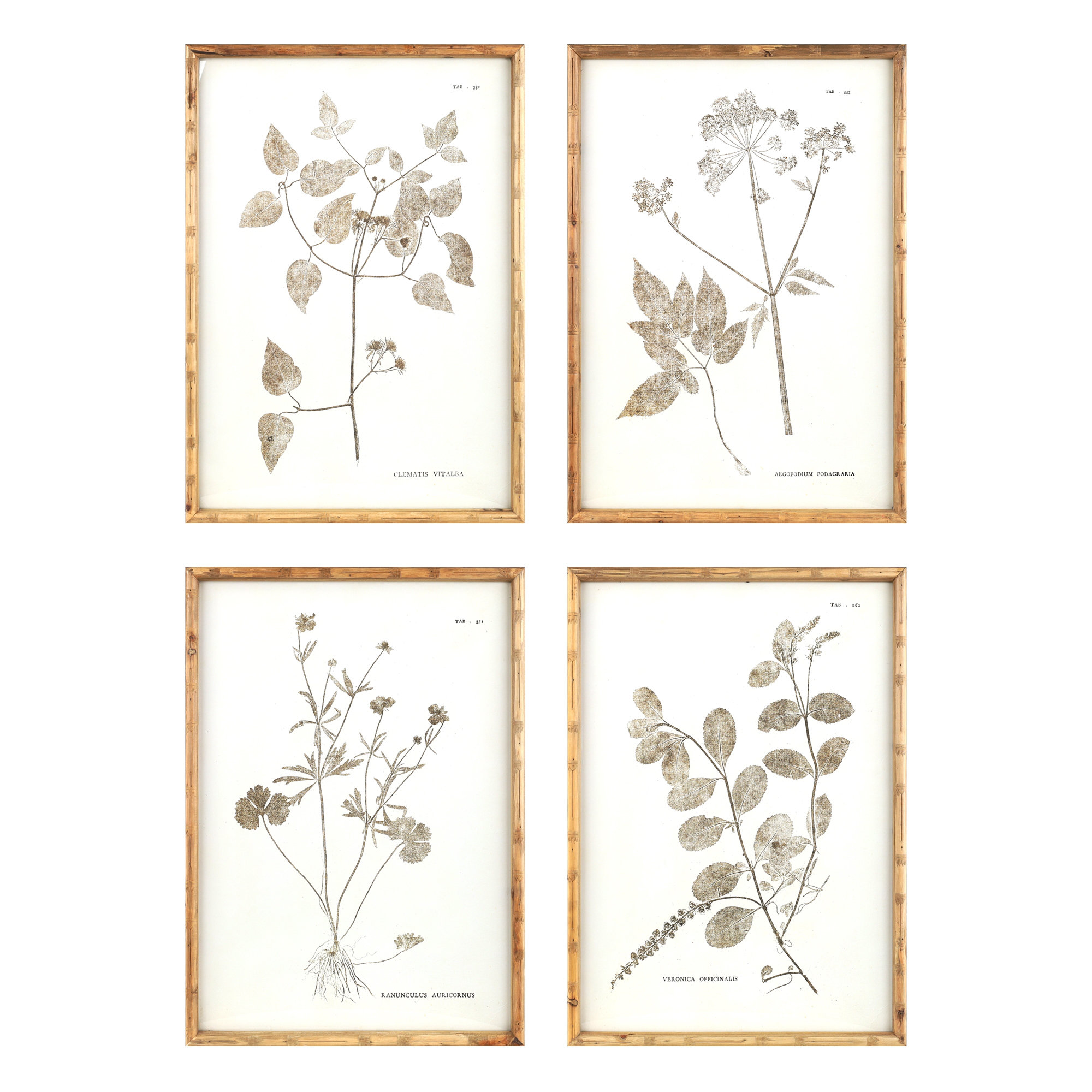 Melrose International 4 Piece Floral Wall Décor Set | Wayfair