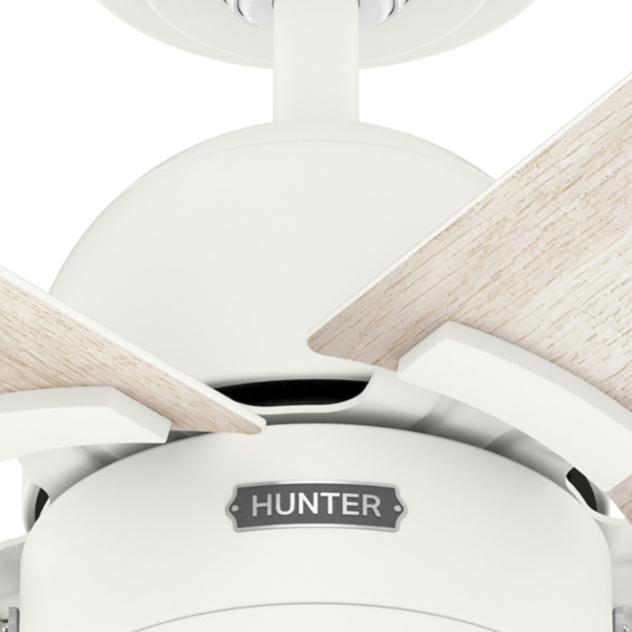 Hunter Fan 52" Erling 6 - Blade Ceiling Fan with LED Light Kit and Pull ...