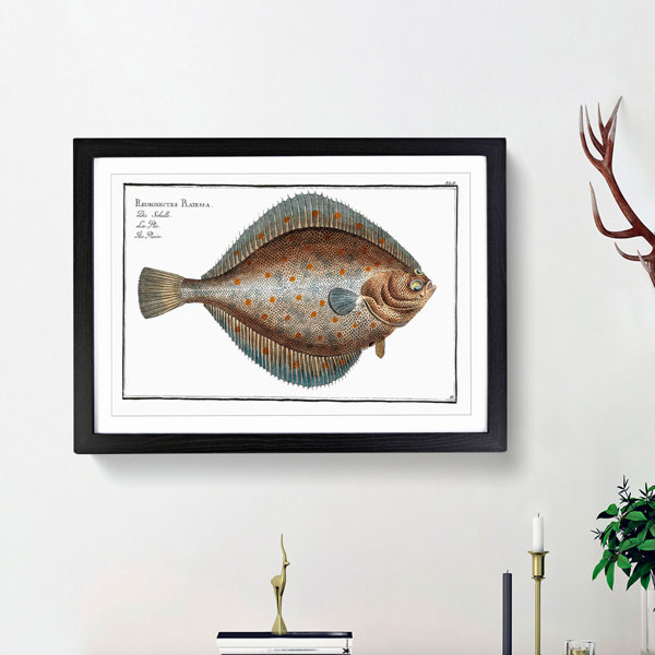 East Urban Home Plaice Fish by M.E. Bloch - Picture Frame Painting ...