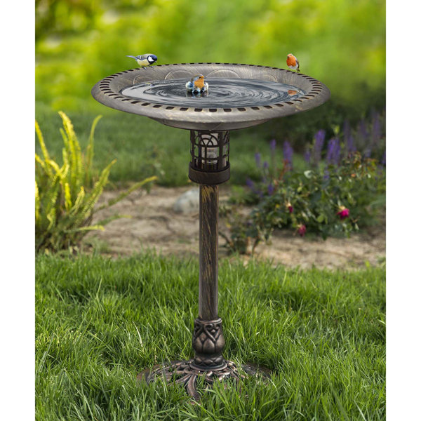 Bird Baths You'll Love - Wayfair Canada