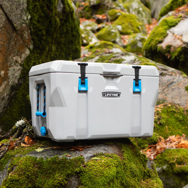 Lifetime 72.87 L Cooler Ice Chest & Reviews | Wayfair.co.uk