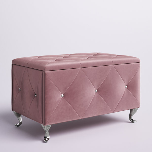Willa Arlo Interiors Carnes Velvet Upholstered Storage Bench & Reviews ...
