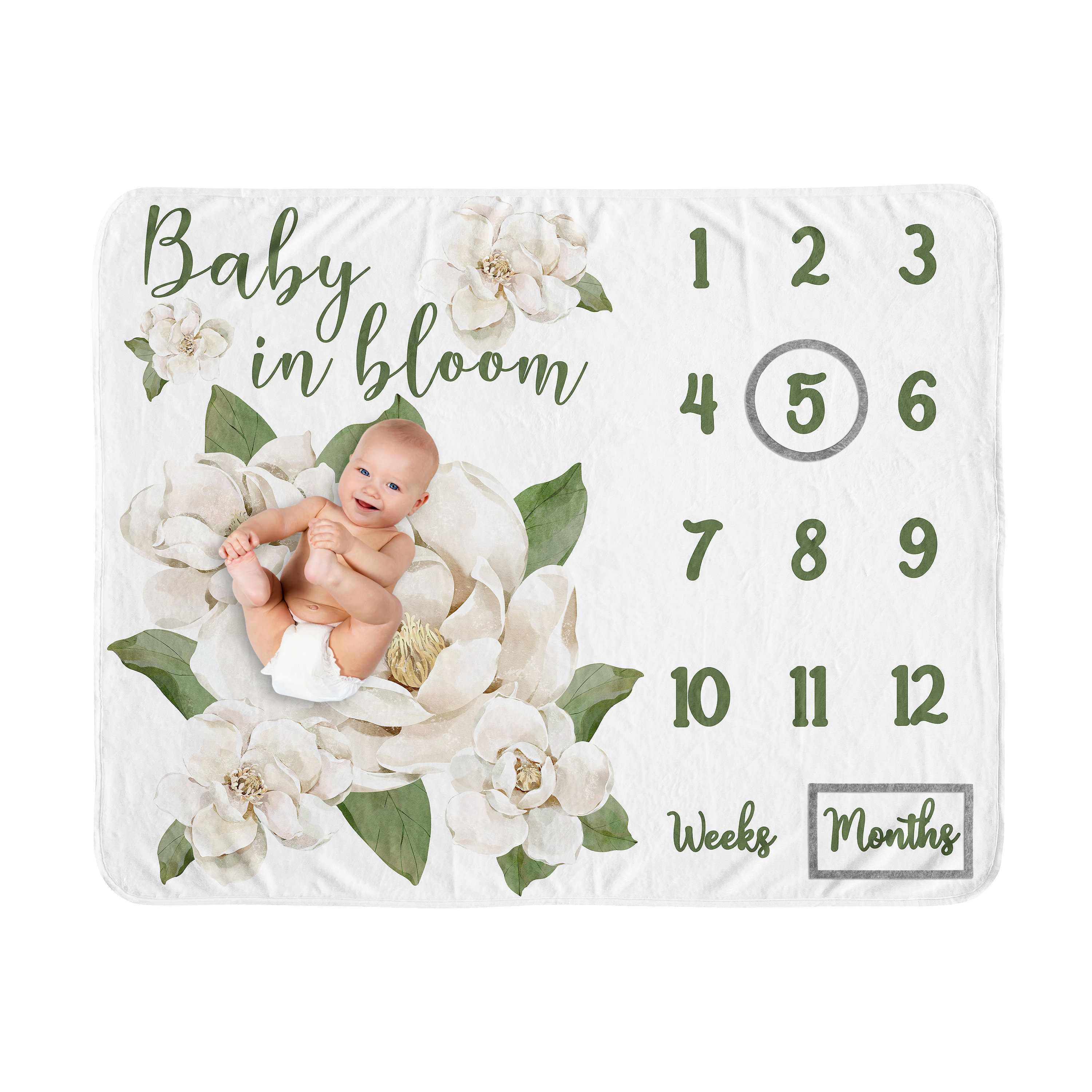 Sweet Jojo Designs Sage Green And Ivory Watercolor Magnolia Milestone ...