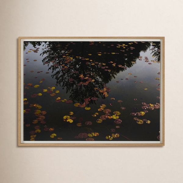 Amber Lewis x Four Hands Echo by Shade Degges | Birch Lane