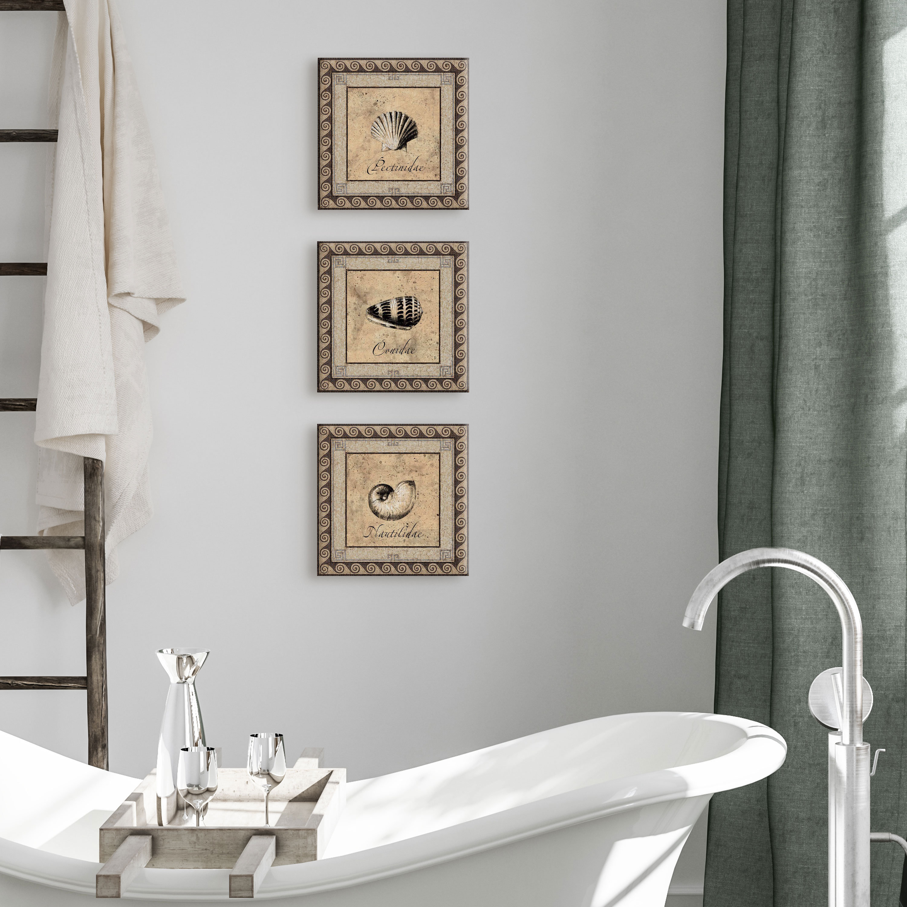 Dovecove Shell Works By Paul Panossian, Canvas Art (Set Of 3) | Wayfair