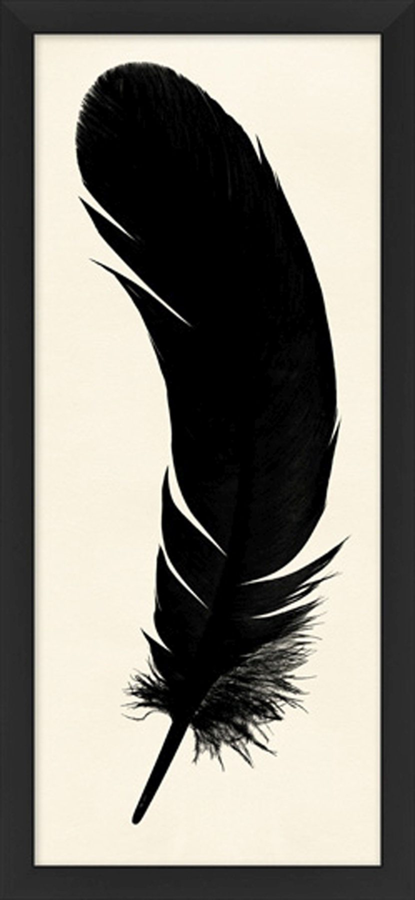 Wendover Art Group Feather Silhouette 1 - Picture Frame Print Set ...