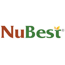NIUBEST | Wayfair