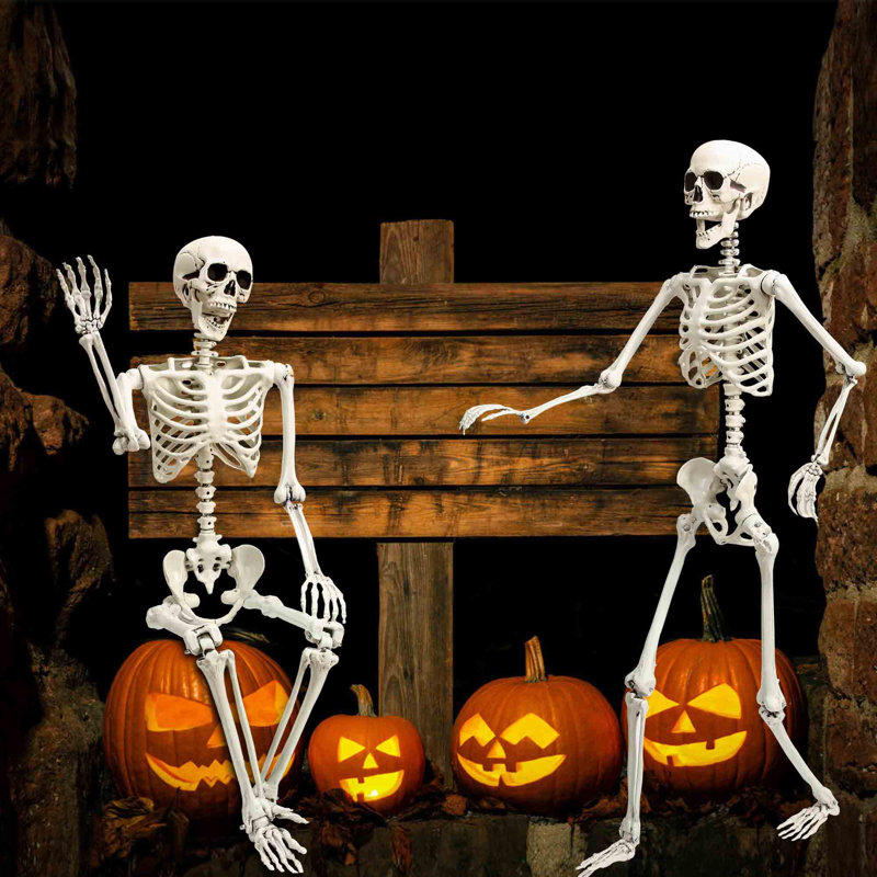 The Holiday Aisle® Halloween Skeleton | Wayfair