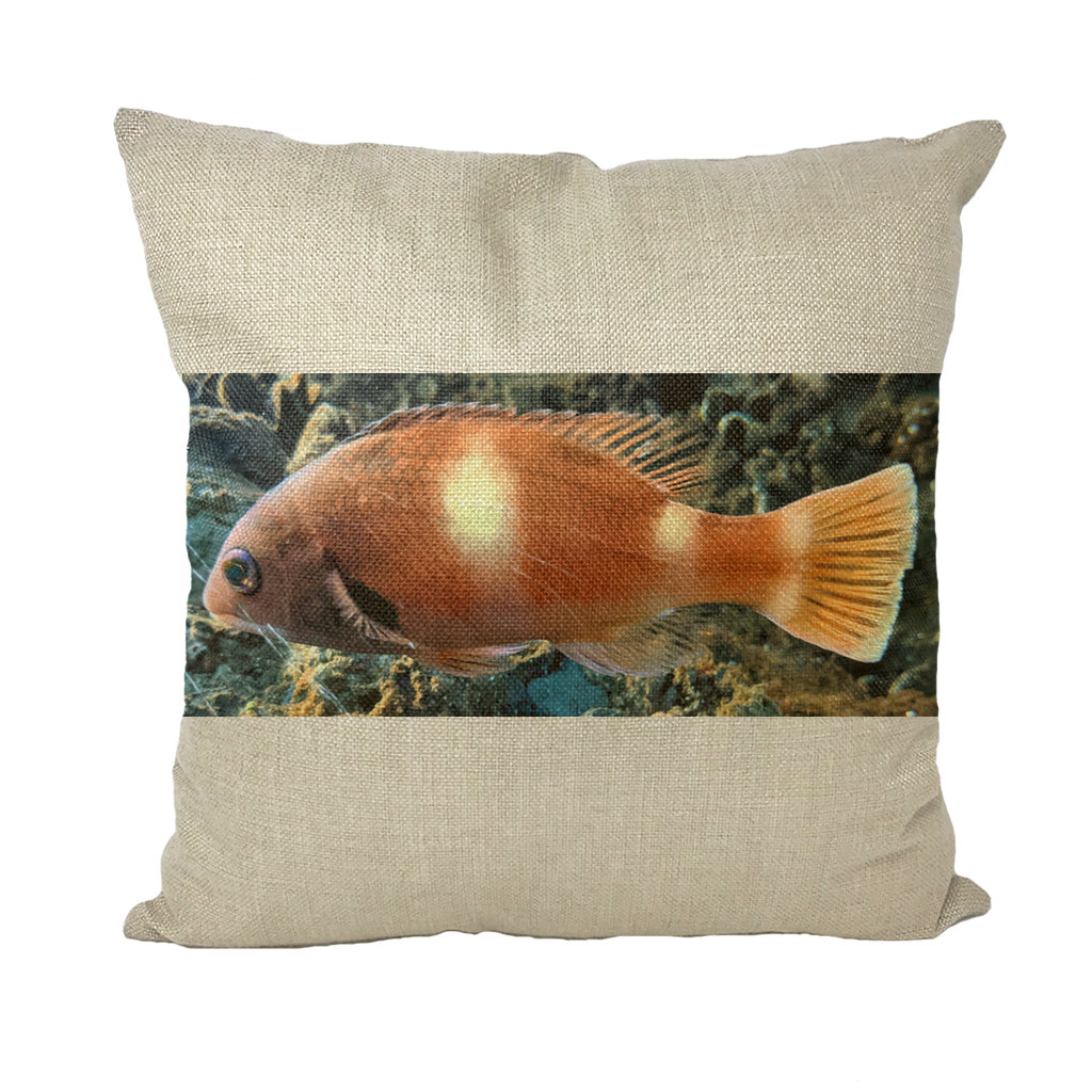 Marick Booster Orange Fish Throw Pillows | Wayfair