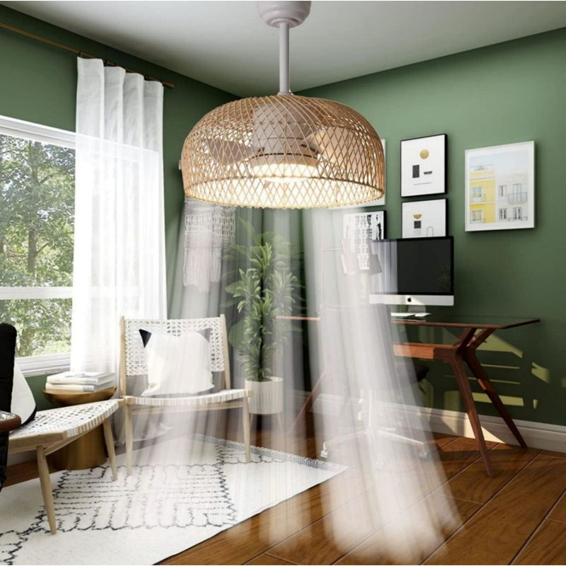 Bay Isle Home™ Rivenbark 15.7'' Ceiling Fan with LED Lights | Wayfair