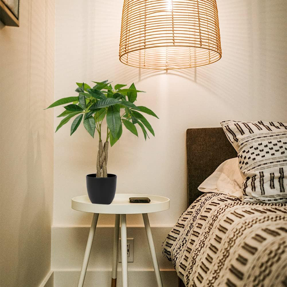 Ivy Bronx 16 Inch Fake Money Tree Plant Indoor Potted Plants - Wayfair ...