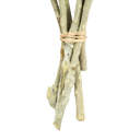 Primrue 8-12" Frosted Basil Rosette Compacta - Sleeved 7 stems, Dried ...