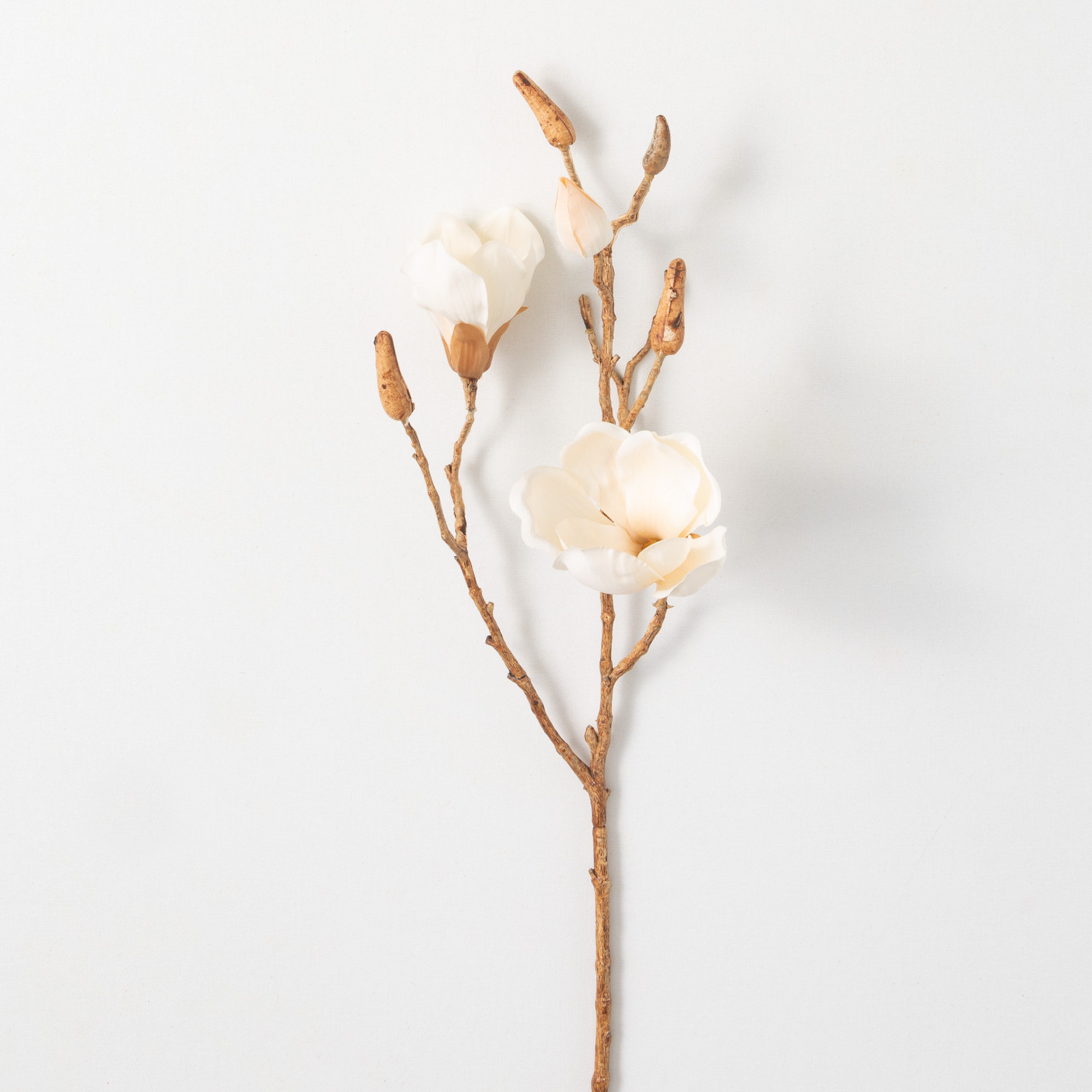 AllModern Magnolia Sprays | Wayfair
