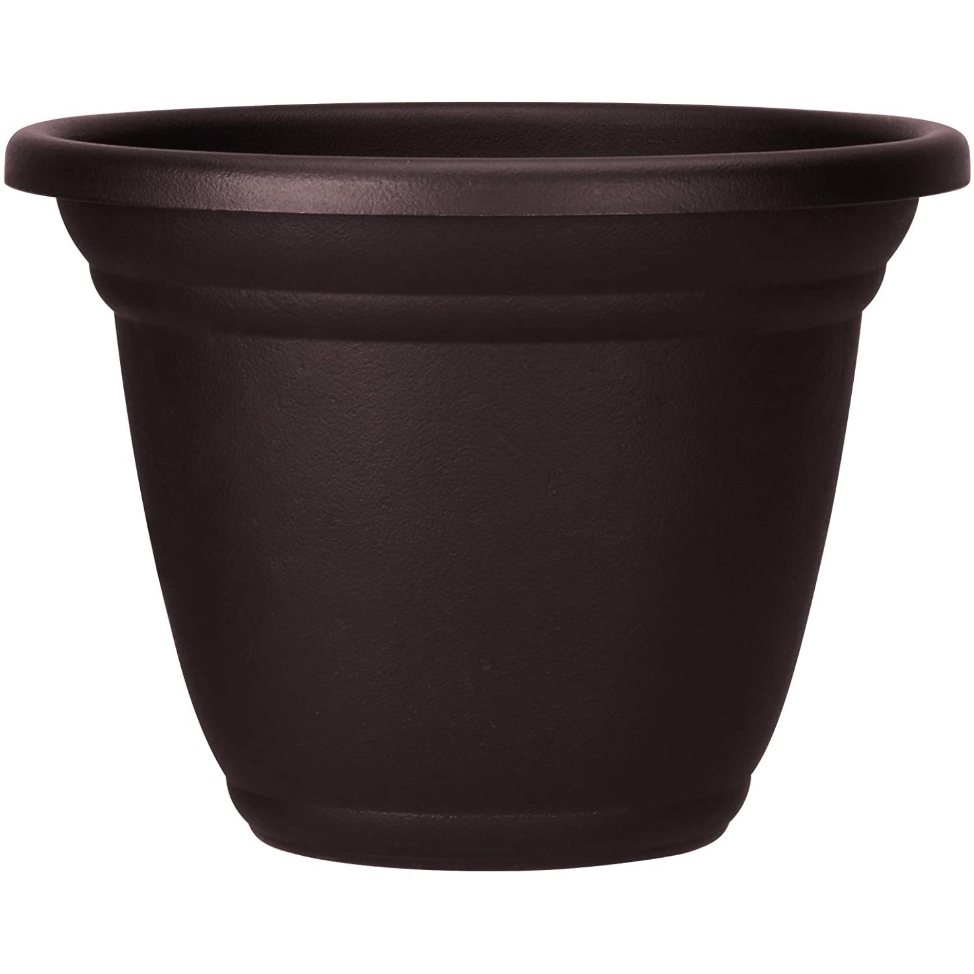 Winston Porter Daekwon Pot Planter | Wayfair